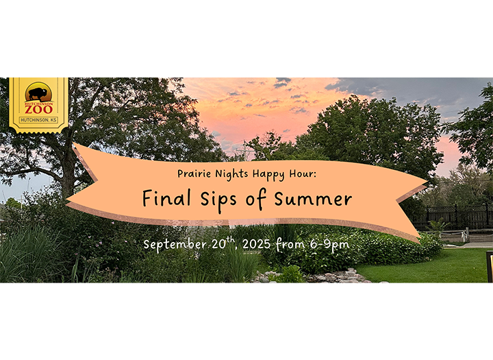 Prairie Nights Happy Hour Final Sips Of Summer